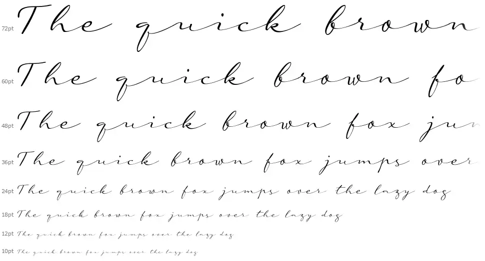 A Auto Signature font by wep | FontRiver