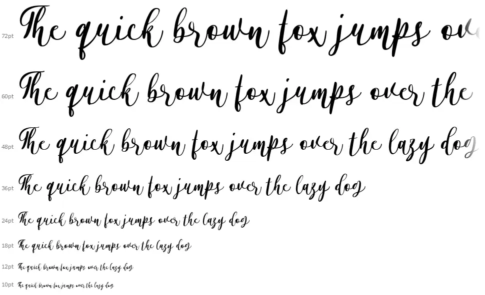 Alyssa Calligraphy font by Colllab Studio | FontRiver
