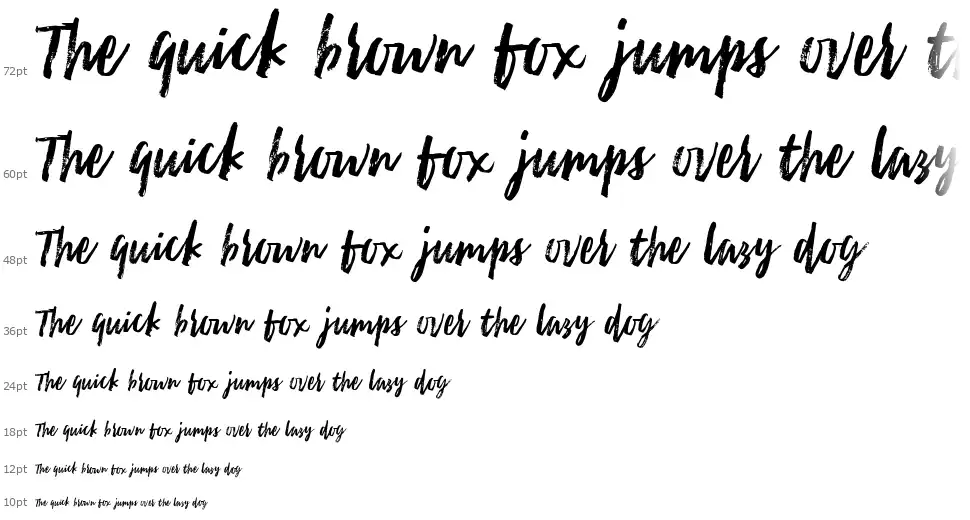Ample Script font by Get Studio | FontRiver