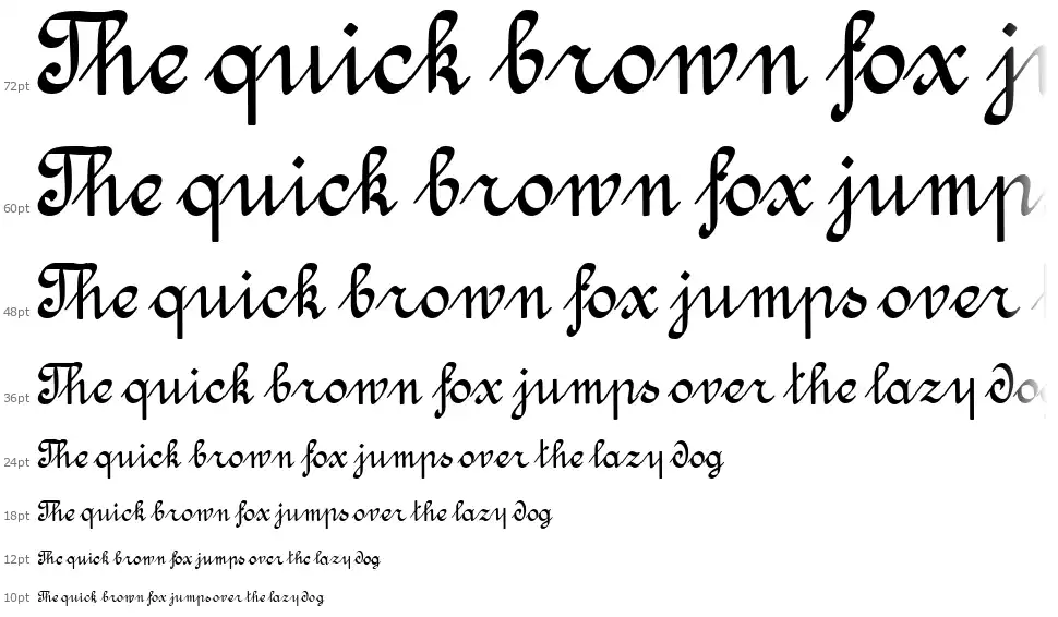 Amptmann Script font by Peter Wiegel | FontRiver