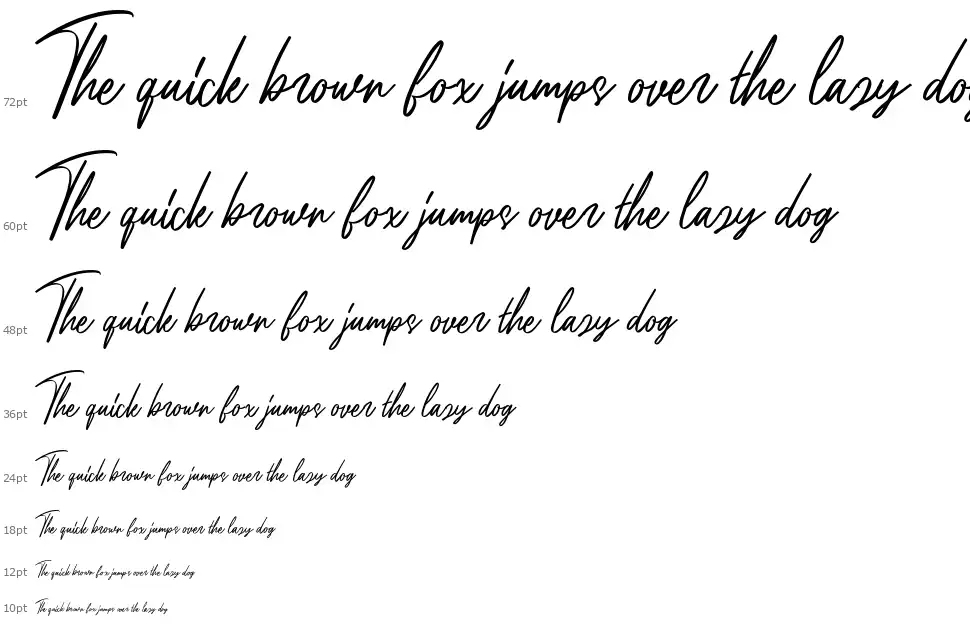 Anita Script font by Colative Studio | FontRiver