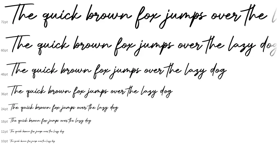 Authentic Signature Police par Letternun | FontRiver