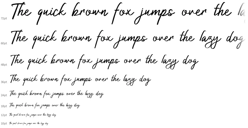 Authorized Signature font by Patria Ari Typestudio | FontRiver