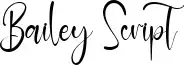 Bailey Script font by Kong Font | FontRiver
