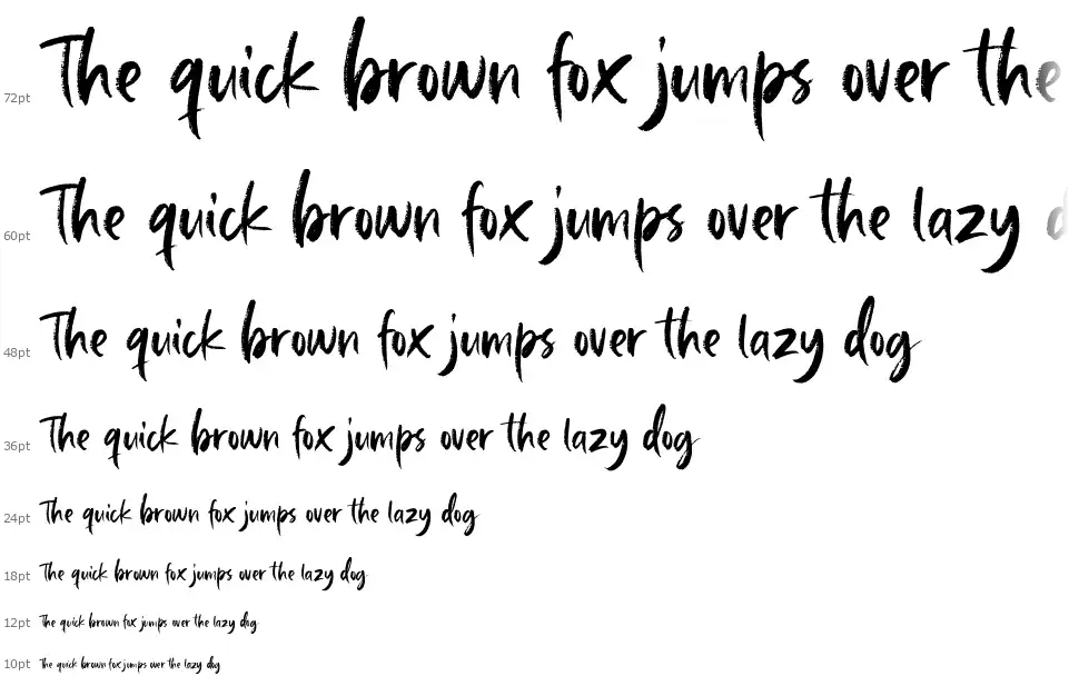 Baille Simpson font by Letterhend Studio | FontRiver
