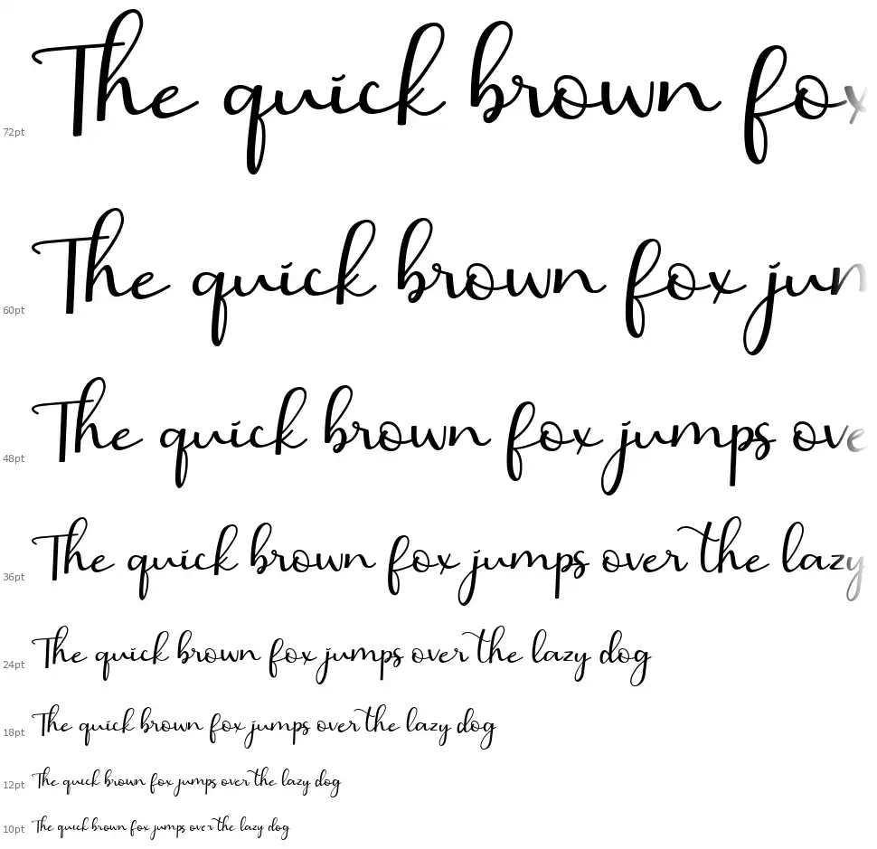 Barbara Calligraphy font by AEN Creative Studio | FontRiver