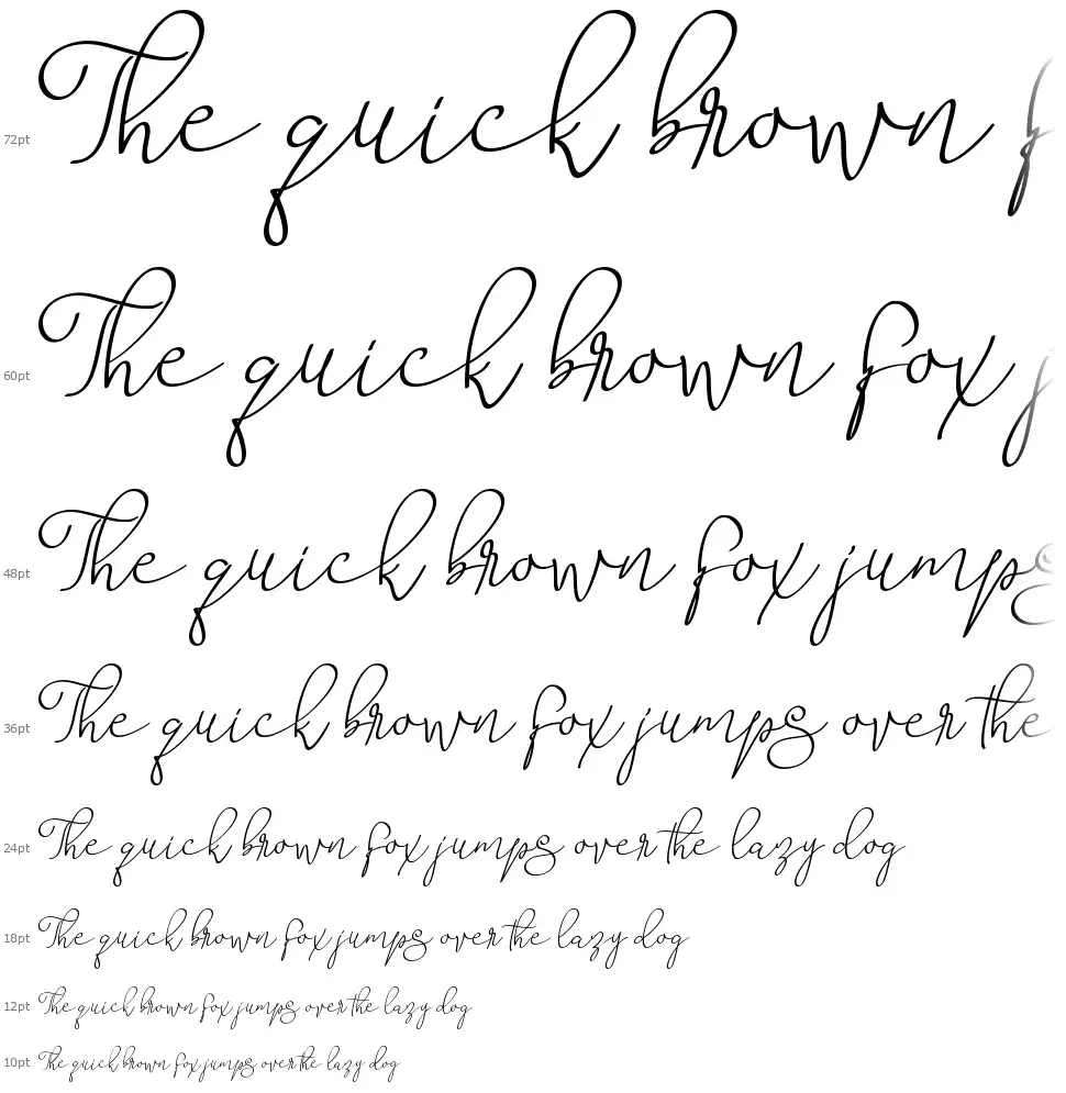 Barista Script font by aldedesign | FontRiver