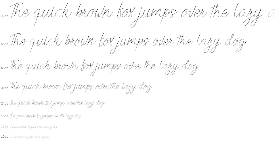 Beautiful Creatures font by Octotype | FontRiver
