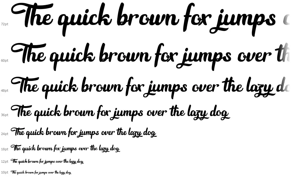 Beauty and the Dutch font by Octotype | FontRiver