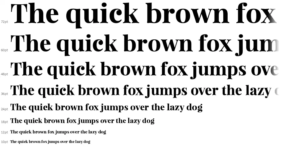 Belista Script font by Solata Studio | FontRiver