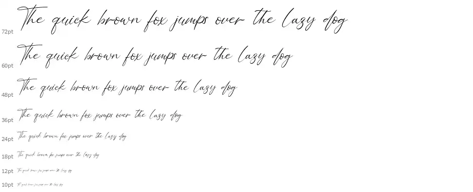 Bellamy Signature font by StringLabs Creative Studio | FontRiver