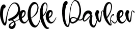 Belle Parker font by Vztype Studio | FontRiver