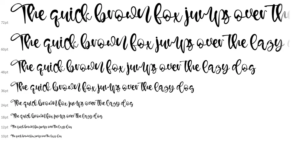 Belle Parker font by Vztype Studio | FontRiver