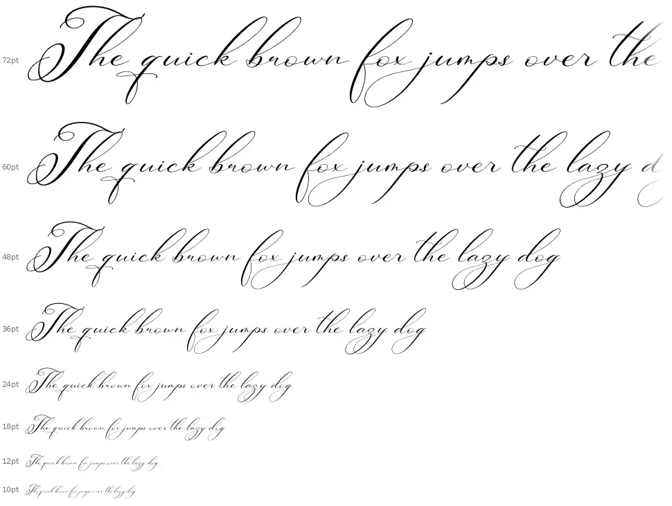 Berlishanty Calligraphy font by Perspectype Studio | FontRiver