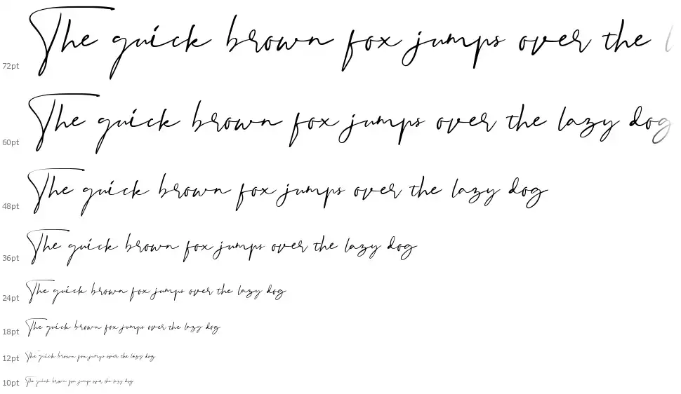 Binetta Signature font by Hanief Farandi | FontRiver