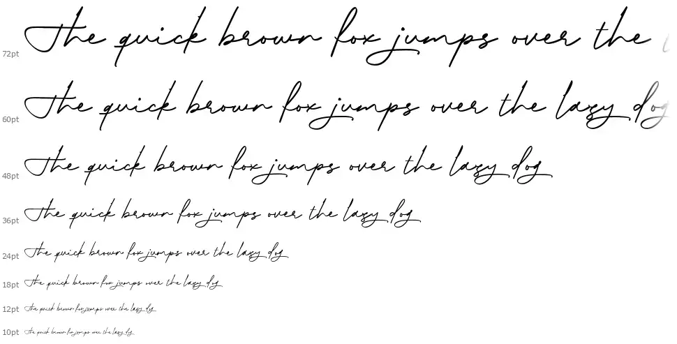 Biography font by Letternun | FontRiver