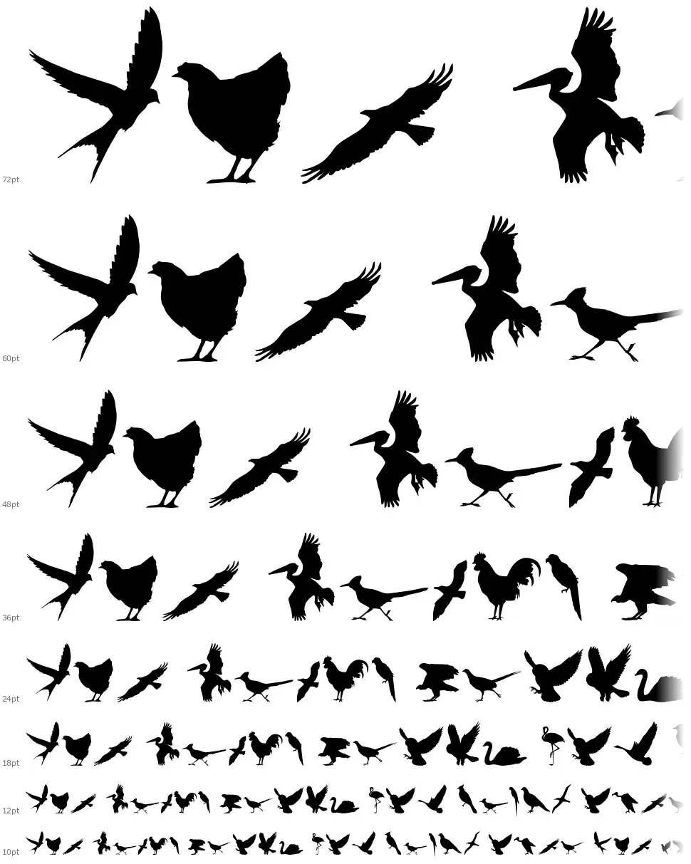 Birds of a Feather font by Iconian Fonts | FontRiver
