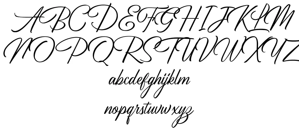 Birmingham Script font by Letterhend Studio | FontRiver