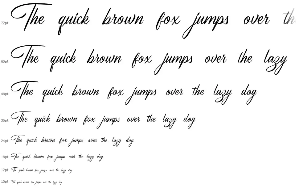 Birmingham Script font by Letterhend Studio | FontRiver