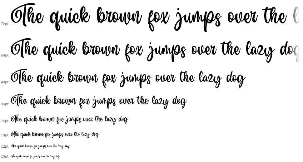 Blantick Script font by Damarletter | FontRiver