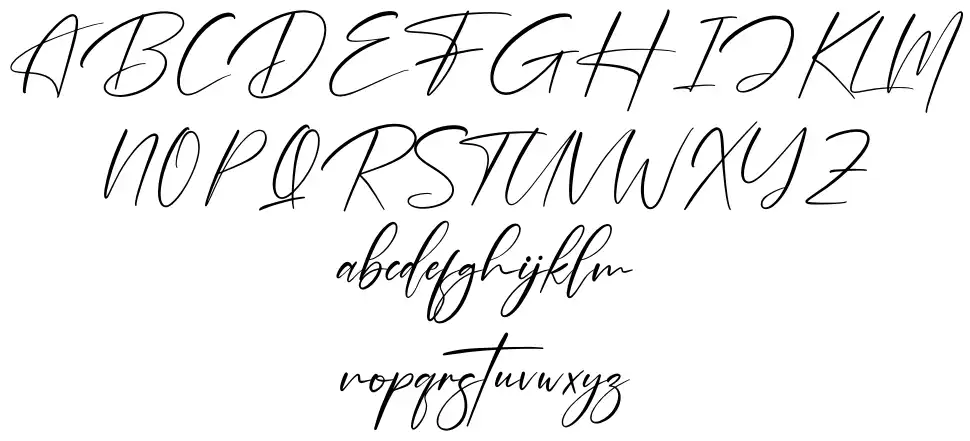Brotherdam Signature font by Perspectype Studio | FontRiver