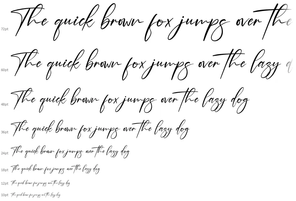 Brotherdam Signature font by Perspectype Studio | FontRiver