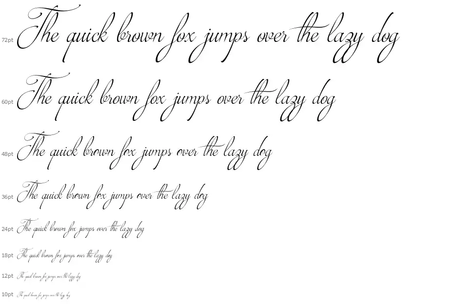 Brotherhood Script font by Youssef Habchi | FontRiver