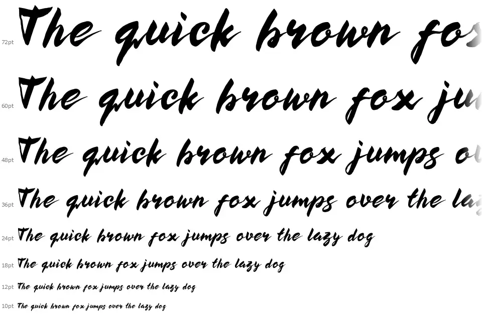 Bucky Sans font by Thomas Joko Purba | FontRiver