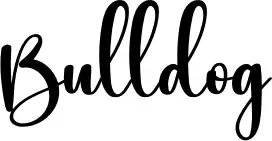 Bulldog font by scratchones | FontRiver