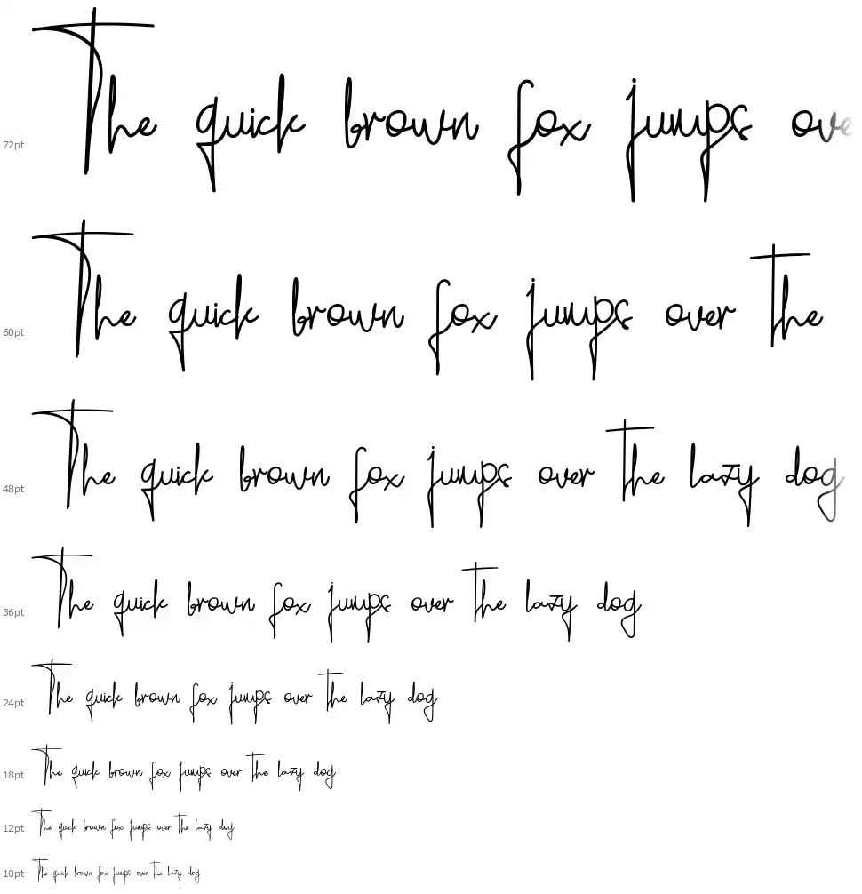 Caitlyn Script font by Caitlyn Signature | FontRiver