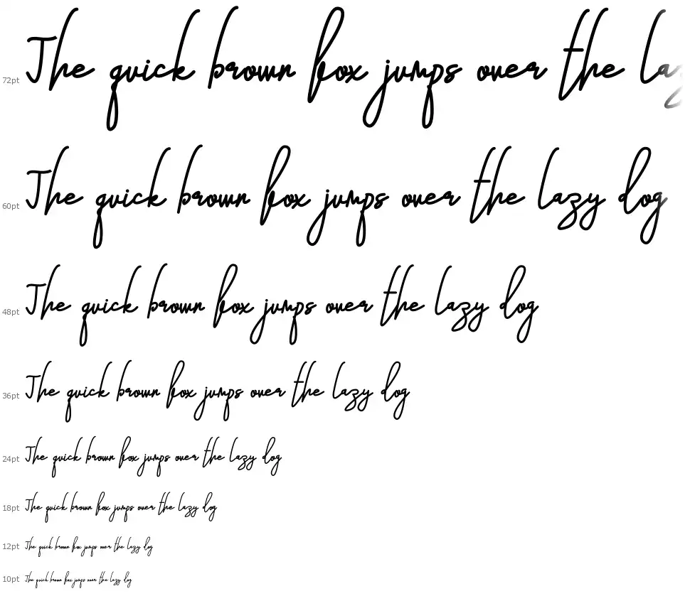 Camping Script font by Design Vector10 | FontRiver