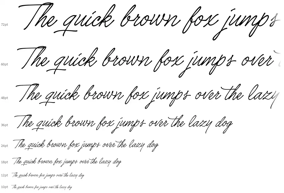 Caneta Script font by Måns Grebäck | FontRiver