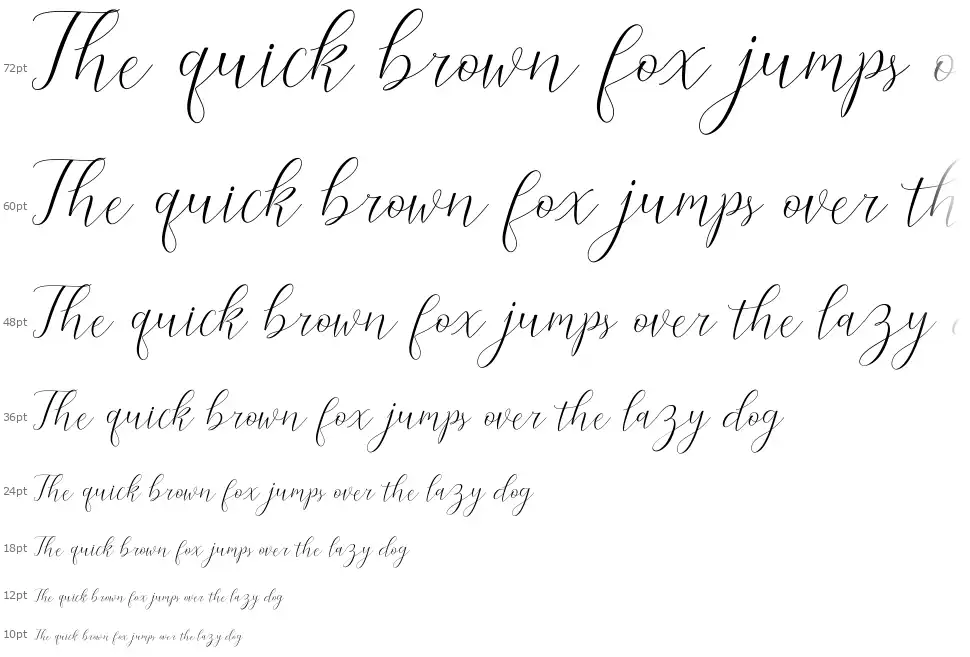 Fuente Cantona Script diseñada por Måns Grebäck