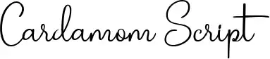 Cardamom Script font by Type on Studio | FontRiver
