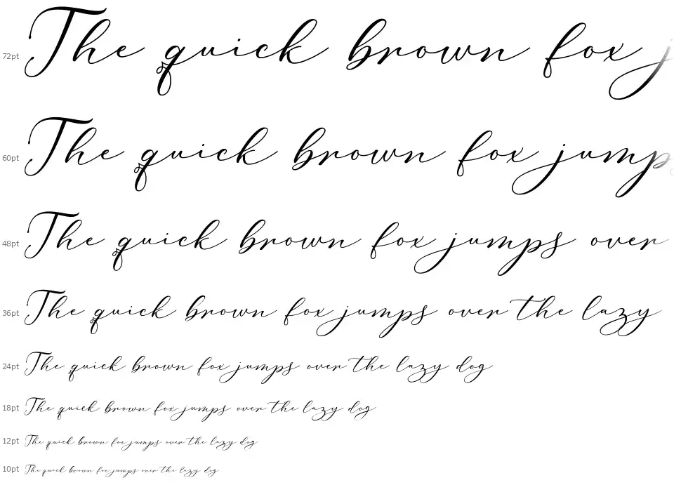 Carliste Script font by Cooldesignlab | FontRiver