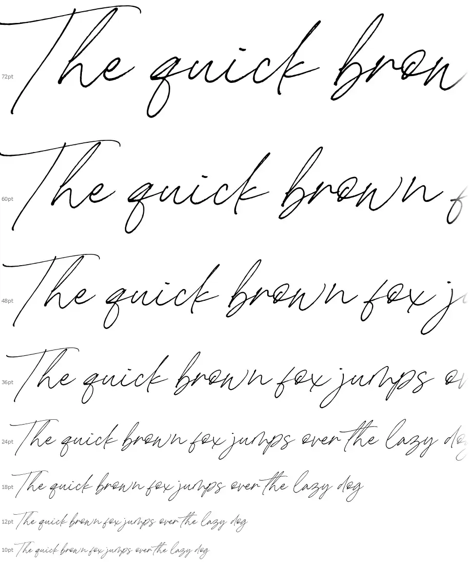 Carneys Gallery Script font by Letteralle Studio | FontRiver