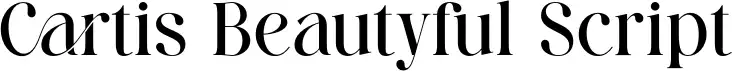 Cartis Beautyful Script font by ToniStudio | FontRiver