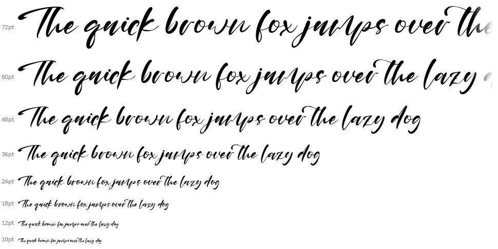 Catty Hall font by Vztype Studio | FontRiver