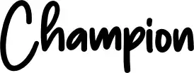 Champion font by scratchones | FontRiver