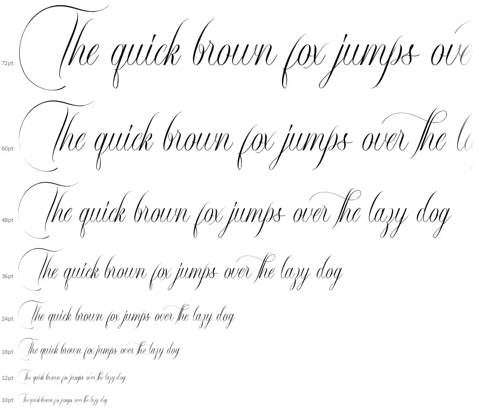 Charles Mustafa font by RaisProject | FontRiver