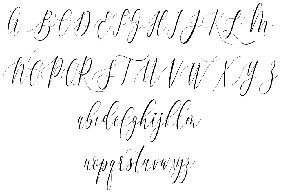 Charlotte Calligraphy Police par aldedesign | FontRiver