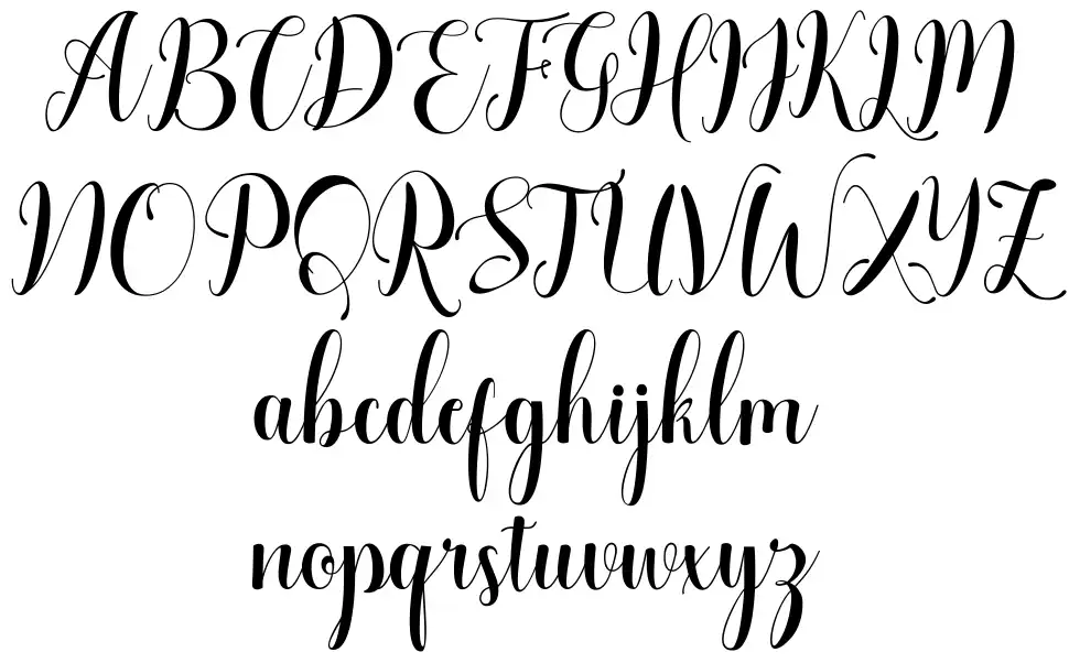 Chaster Script font by Rhydan Studio | FontRiver