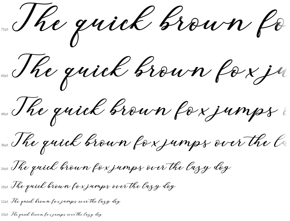 Cintya Script font by Creative LAB | FontRiver