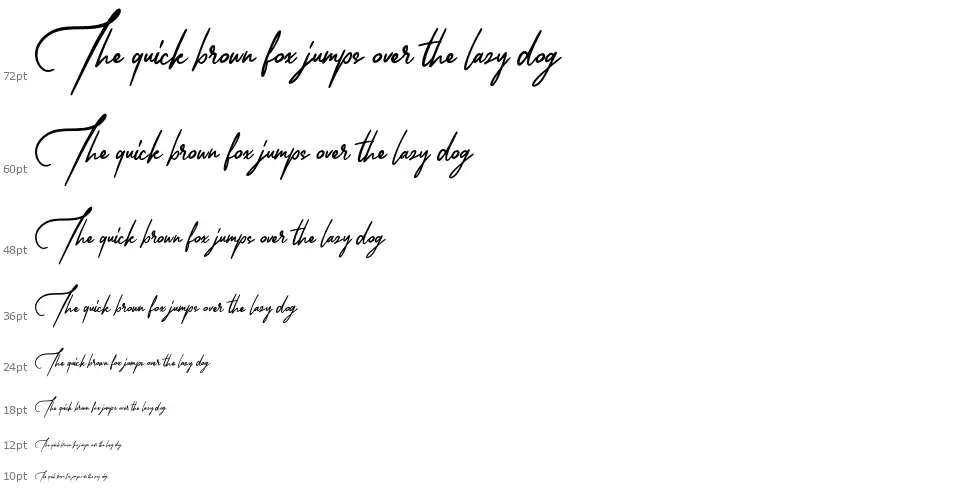 Citanya Script font by Colative Studio | FontRiver