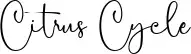 Fuente Citrus Cycle diseñada por Maulana Creative