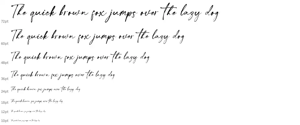 Collection New Style font by alphArtype | FontRiver