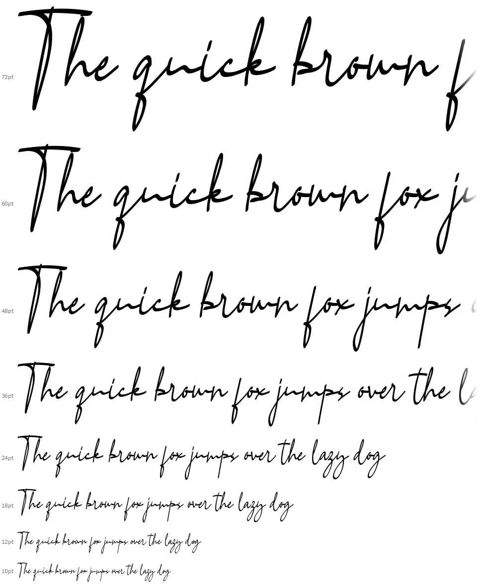 Corona Real Script font by VinType | FontRiver