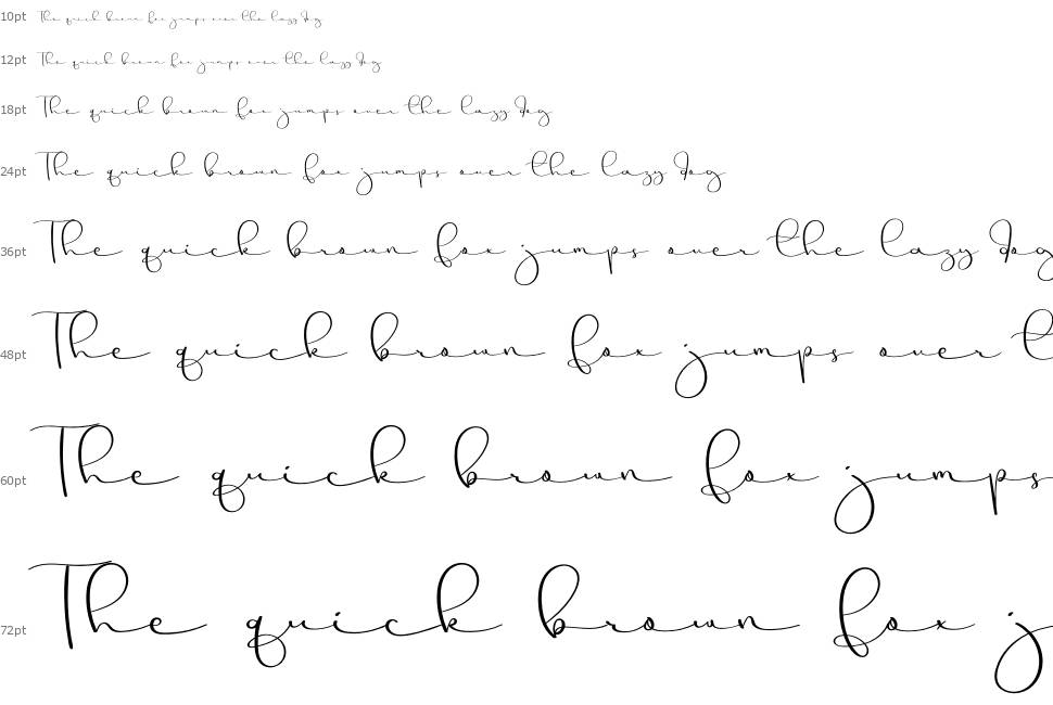 Creative Signature font by Erik Studio | FontRiver