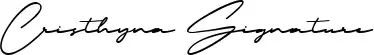 Cristhyna Signature font by Namara Creative Studio | FontRiver