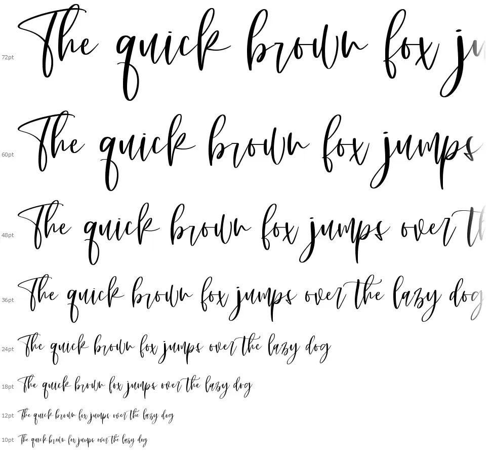 Dancing Moon Script font by Abo Daniel Studio | FontRiver